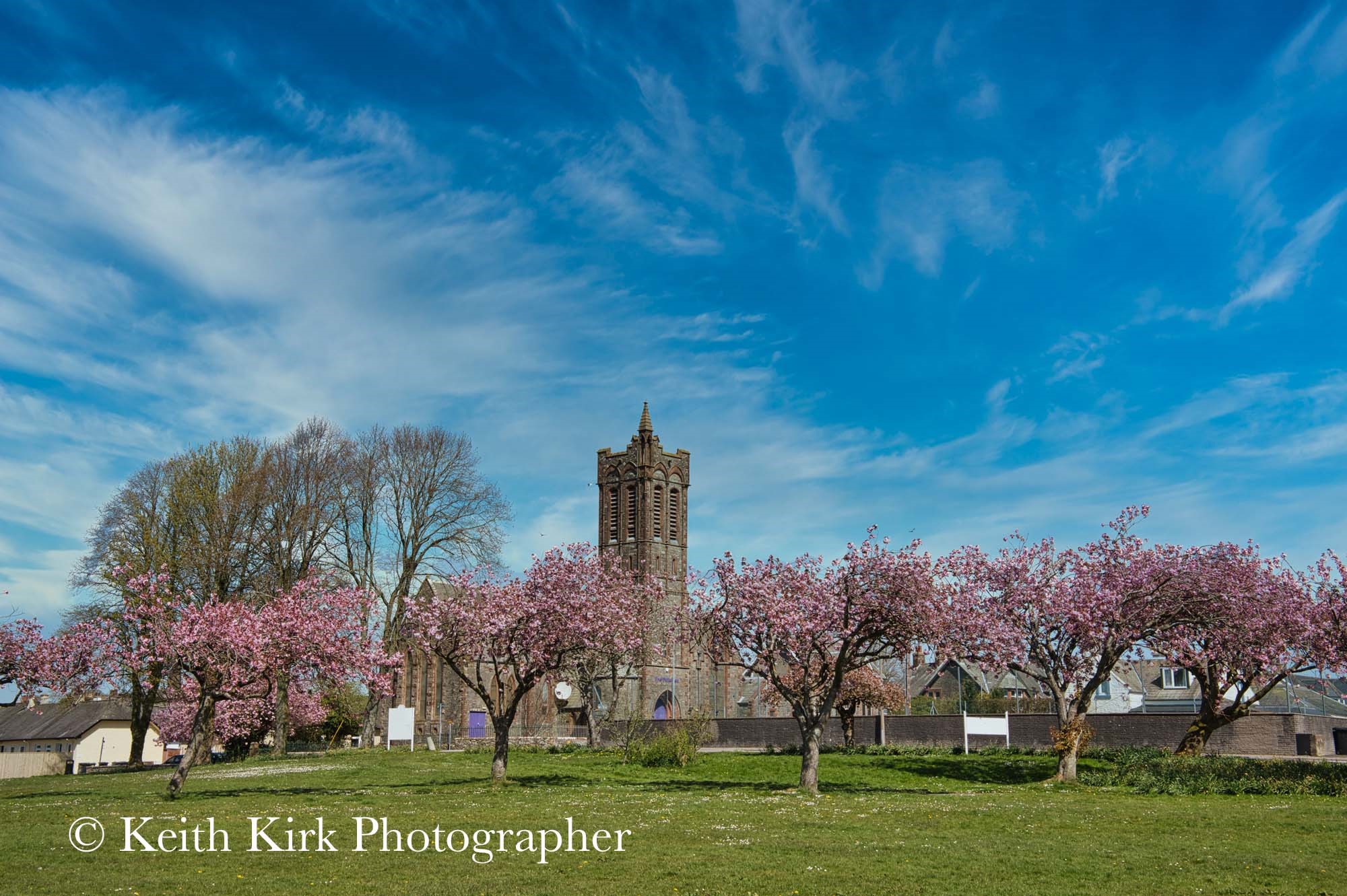 Home - Castle Douglas Development Forum